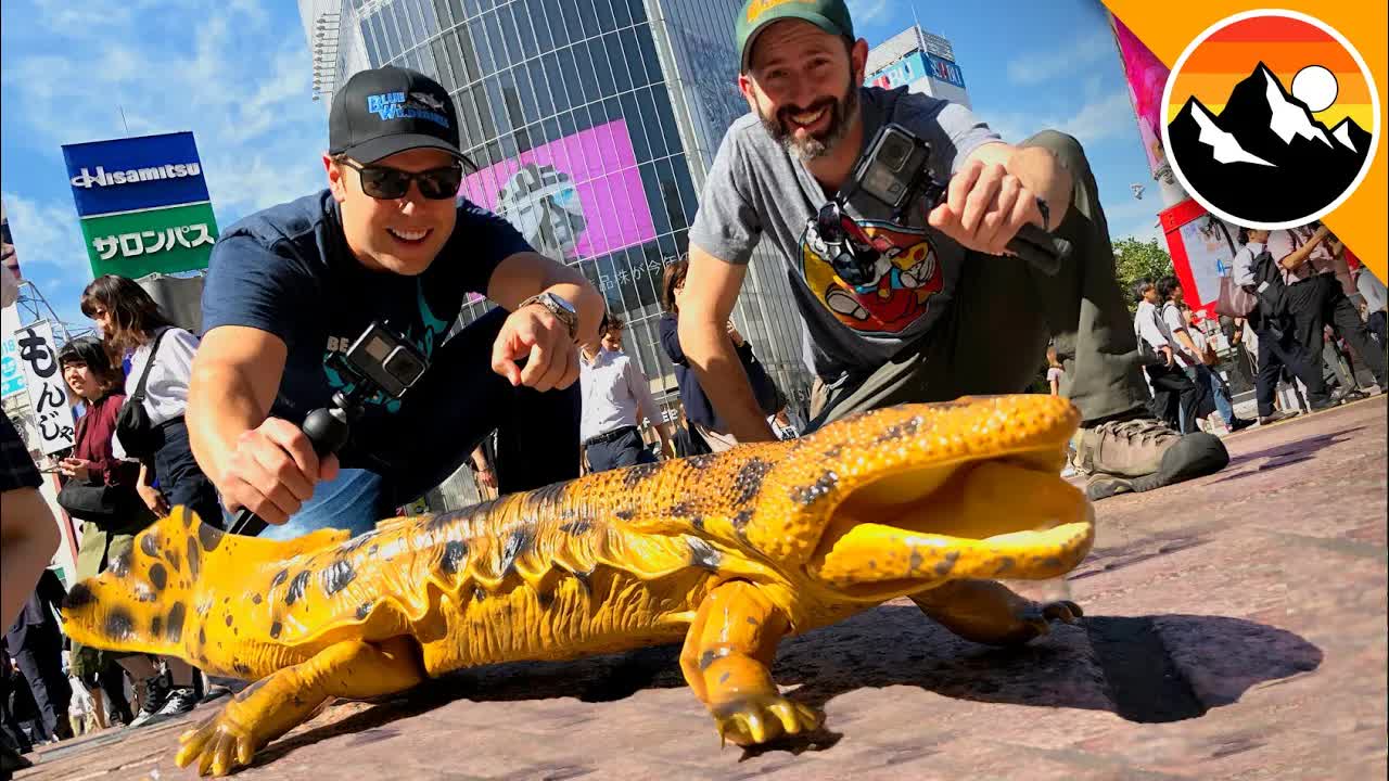 Giant Salamander Scavenger Hunt.. In Tokio