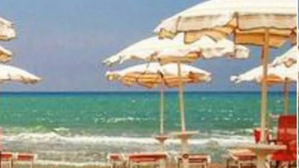 Concessioni, pronti i primi bandi per il comune di Rimini. Ecco le ...