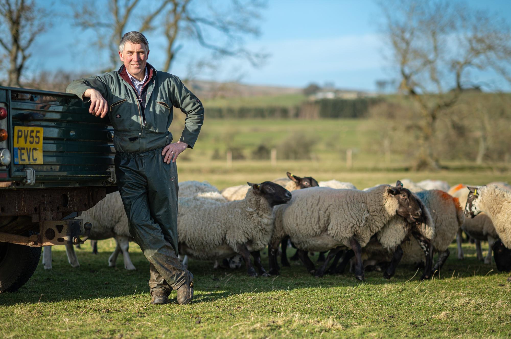 Farming and the countryside to be celebrated at Northumberland County Show