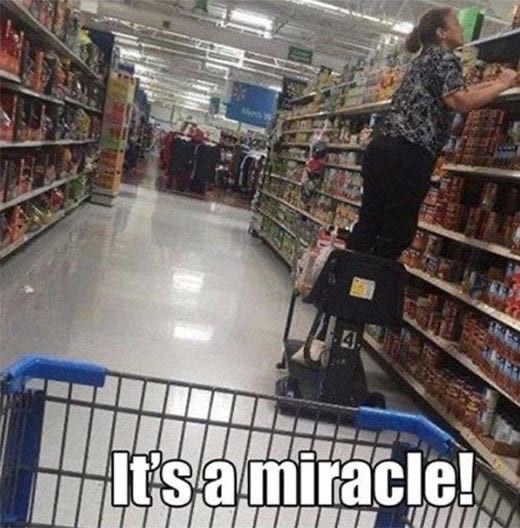 20 photos where someone dropped a piano on common sense