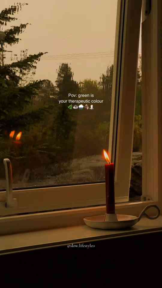 POV Green Is Your Therapeutic Color Rainy Cozy Nature Vibes