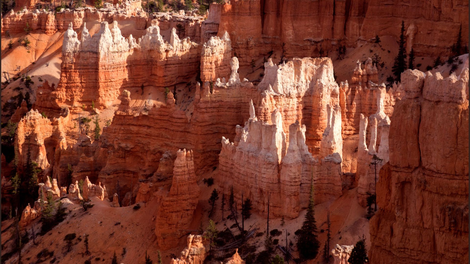 20 naturally occurring sounds that defy expectations