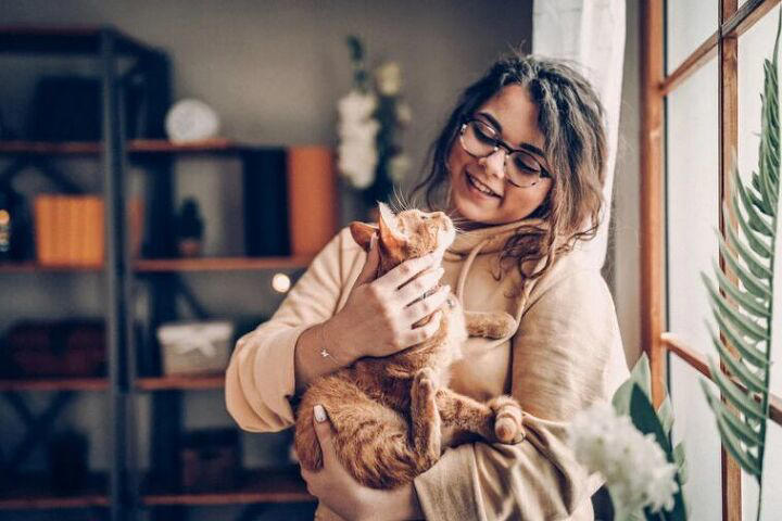 Cat behavior explained: 5 reasons cats love knocking things over