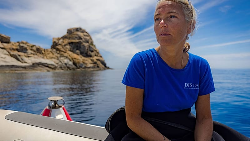 'No way out': Italian divers who died in the Maldives may have become ...