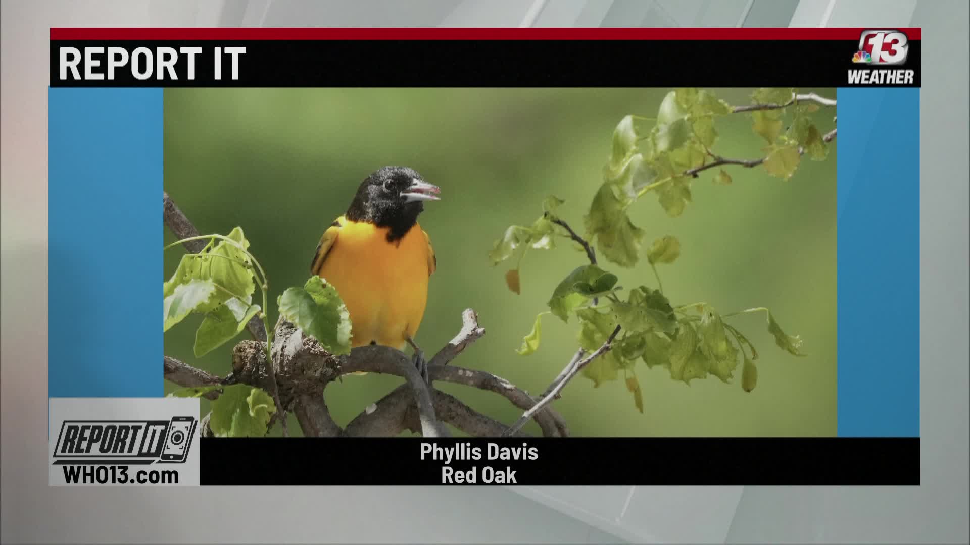 Megan Salois' Thursday forecast