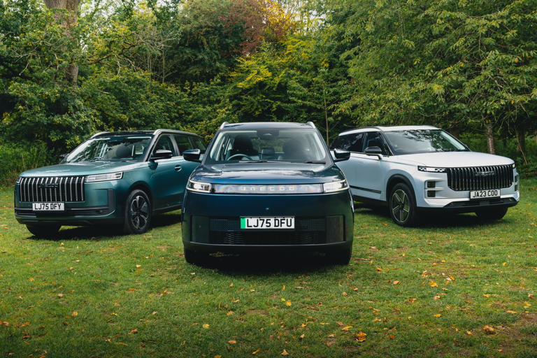 They nicknamed it the Temu Range Rover, car insurers are pricing it ...