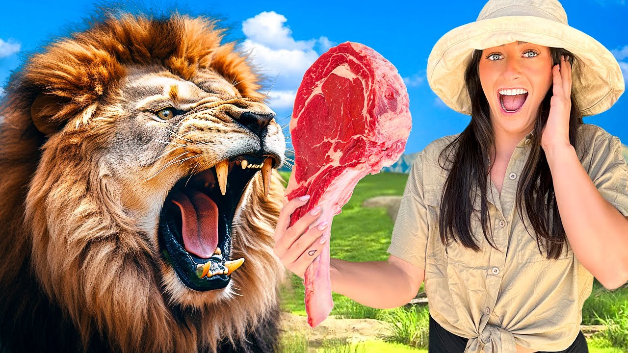 Watch what happened when I spent a wild day training exotic zoo animals