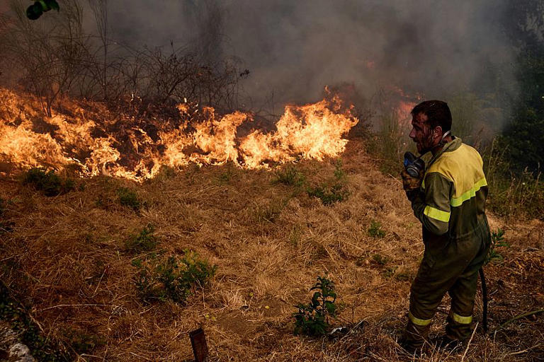 Spain to launch biggest forest fire campaign after record losses last ...
