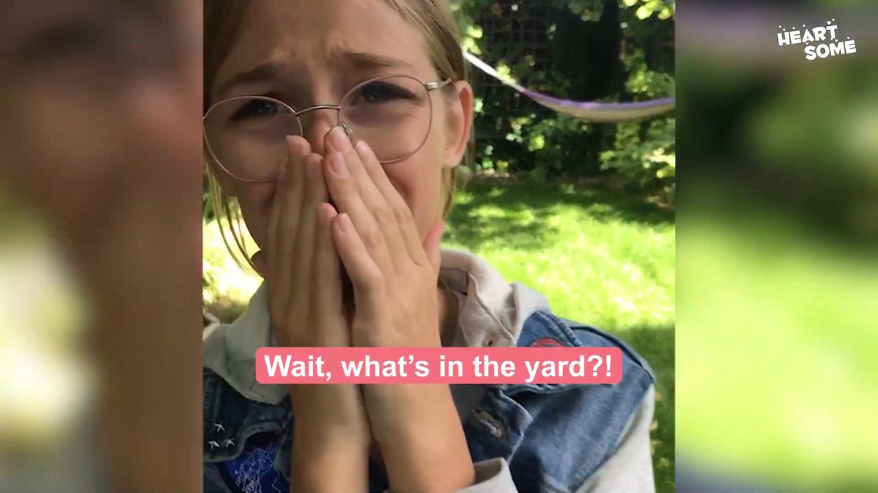 Best surprise reactions compilation | Heartwarming & funny moments ...