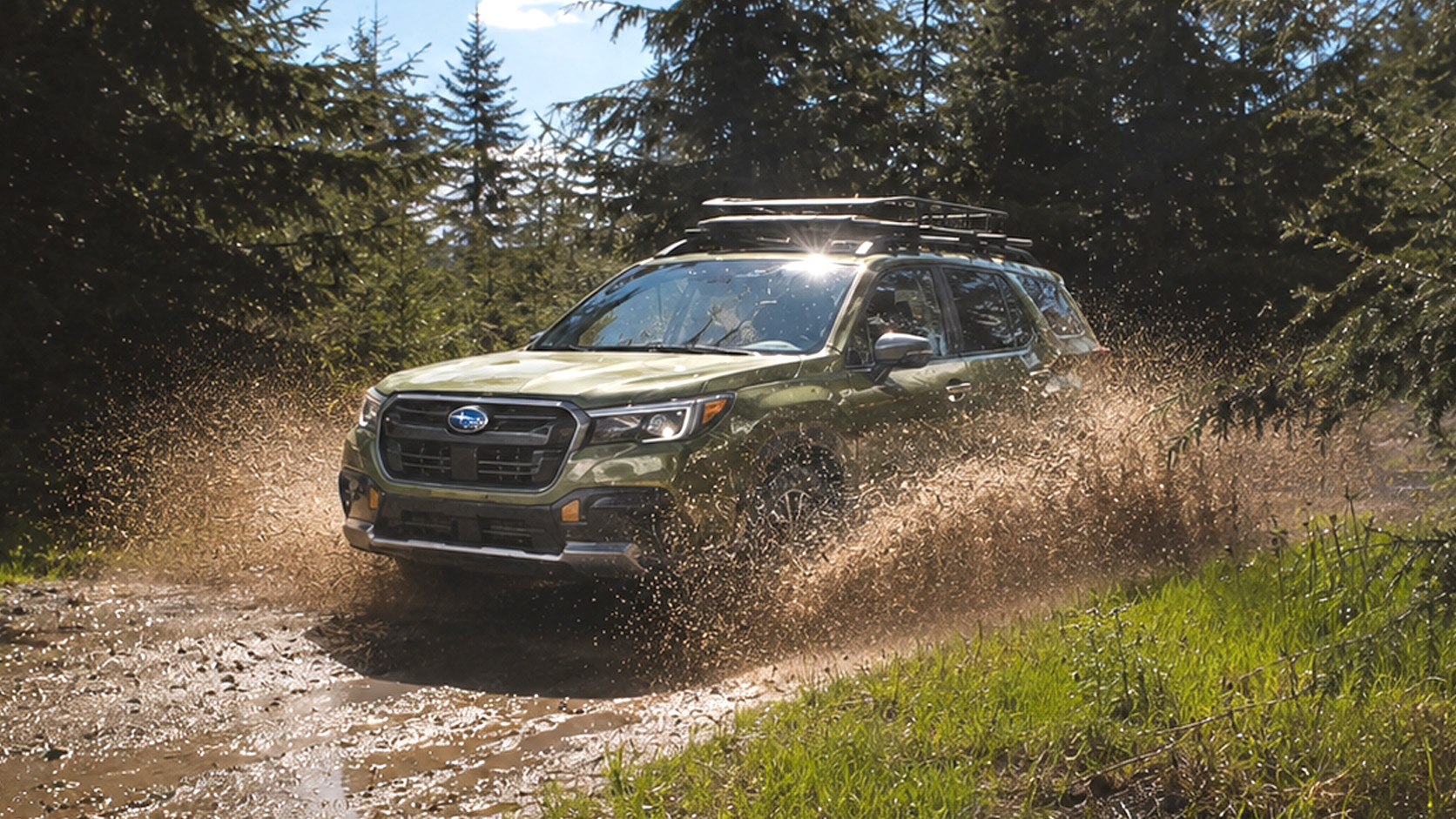 Subaru Forester Wilderness shows its real off-road capability