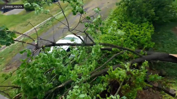 Storms uproot trees, knock out power across the Philadelphia area ...