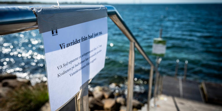 Fritt fram att bada i Malmö igen efter bajsläckan