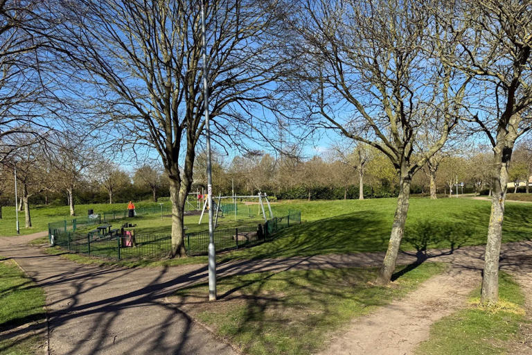 Extra police patrols and bush cutting planned to tackle drug use at ...