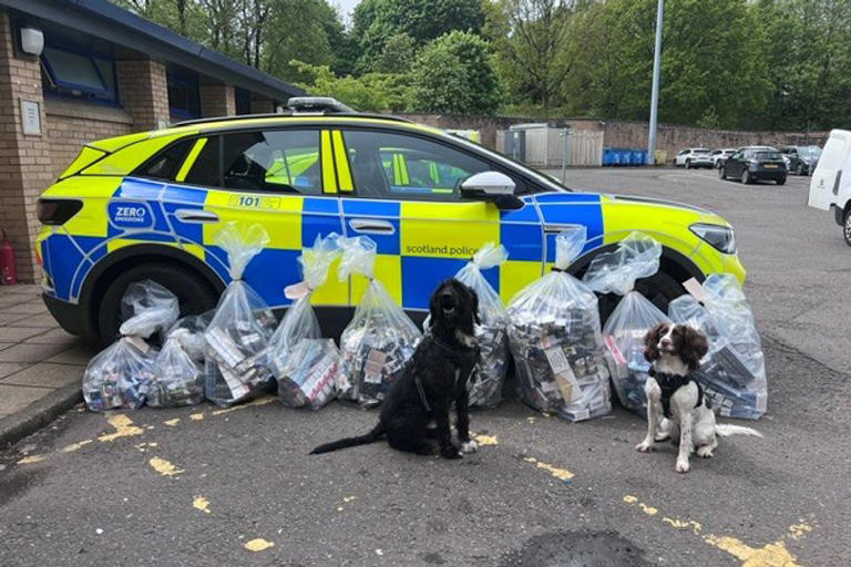 More than 50,000 illegal cigarettes seized as cops search southside stores