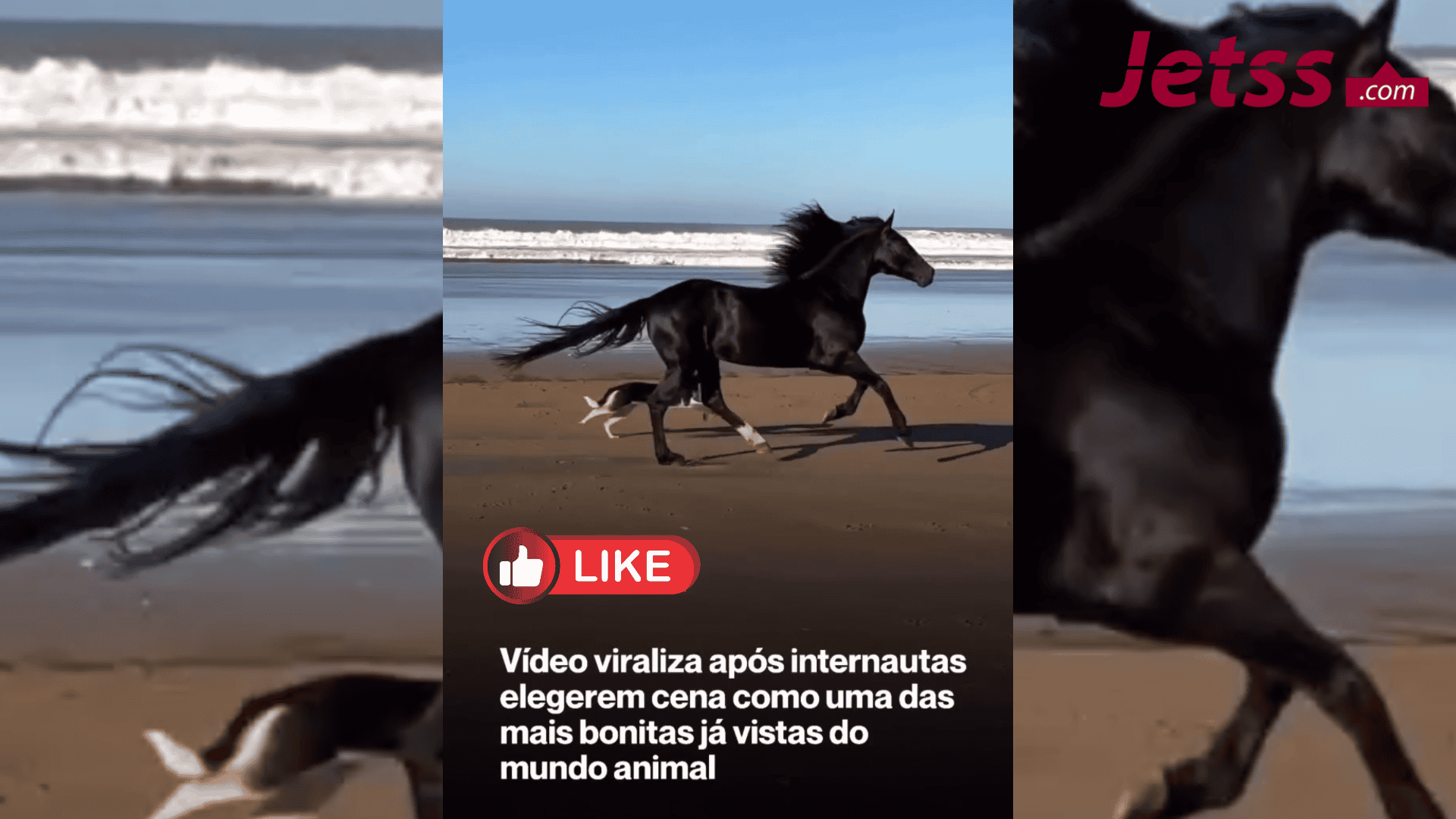 Vídeo viraliza após internautas elegerem cena como uma das mais bonitas ...