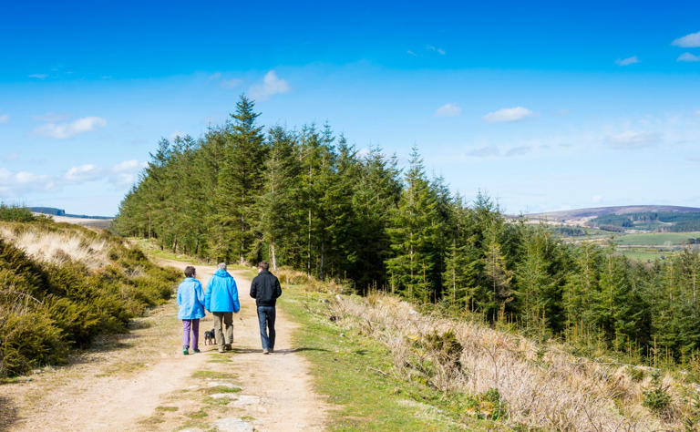 Life-threatening tick bite disease found at popular UK beauty spots