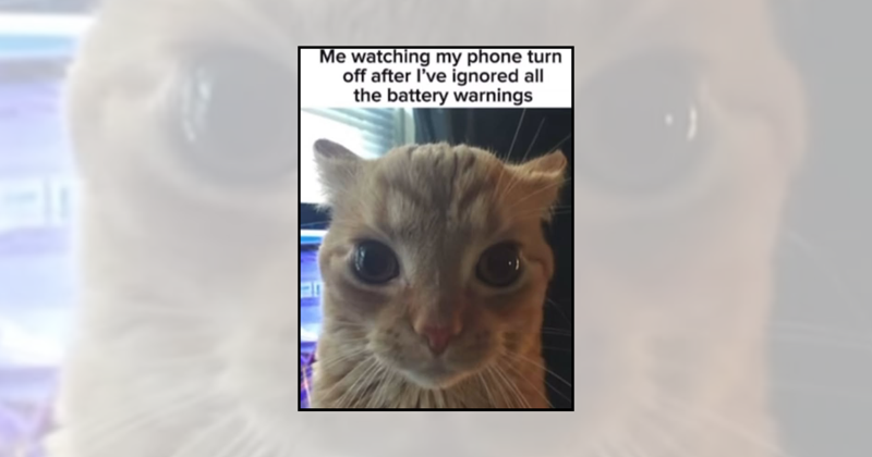 Need a recharge? 21 low battery memes for people running on 1% but ...