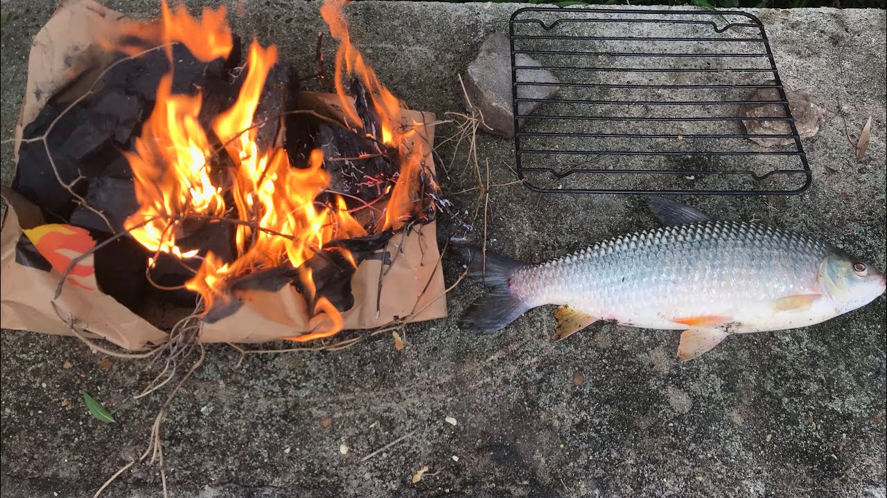 Pesca y cocina bajo la lluvia con bagres, boga y patí a la parrilla