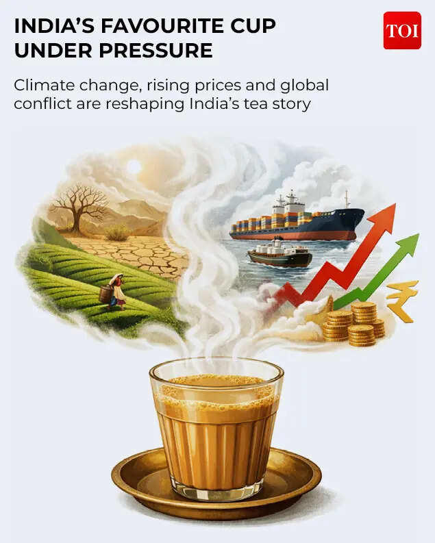 International Tea Day 2026: The storm brewing inside India’s favourite cup