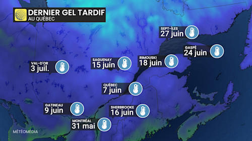 Le froid revient en force et pourrait laisser des traces