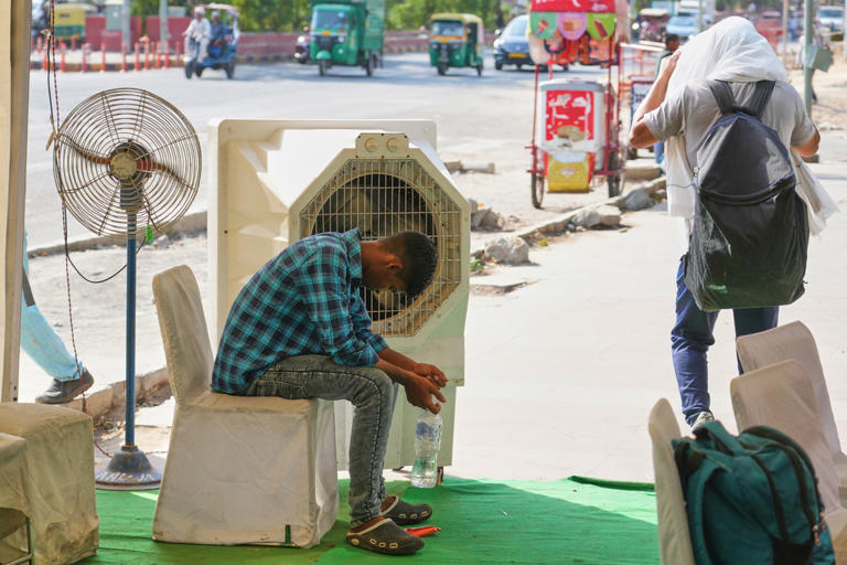 Heat wave empties roads and markets in north India as some farmers turn ...