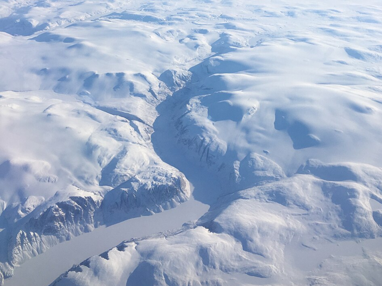 Scientists uncover 40,000-year-old frozen plants beneath ice on Baffin ...