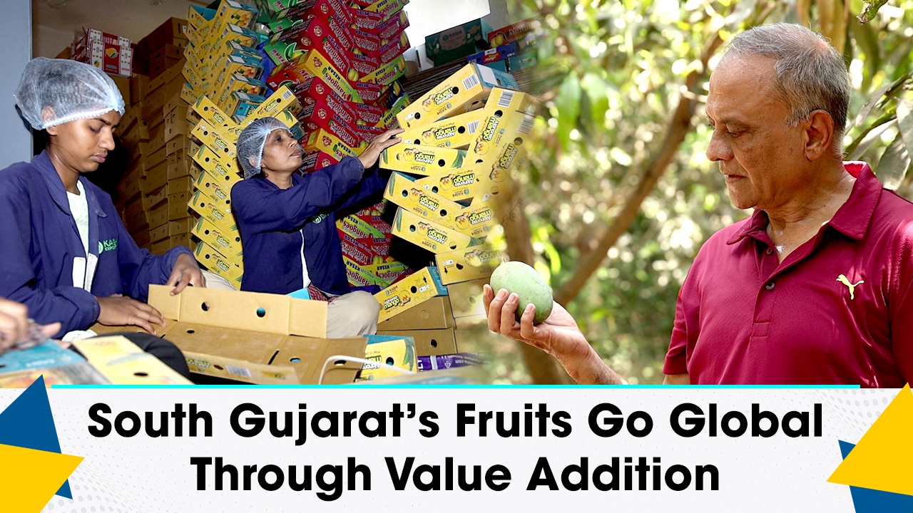 South Gujarat’s fruits go global through value addition