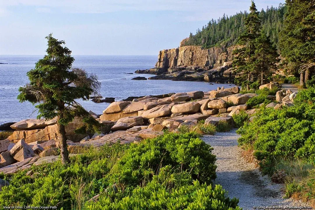 20 East Coast trails to hike this year
