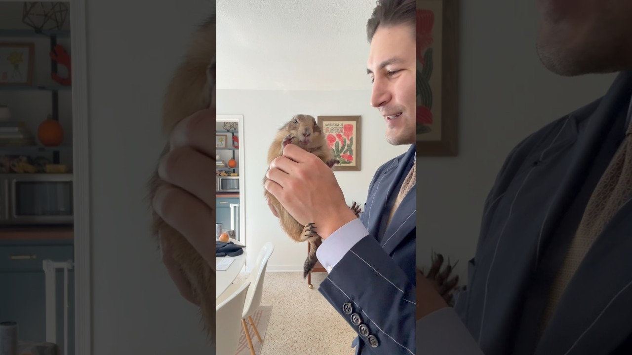 This adorable prairie dog’s morning greeting is the cutest thing you’ll ...