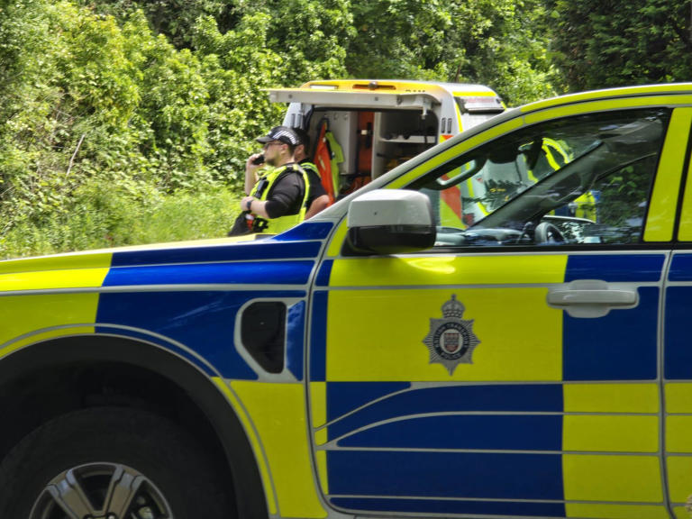 Rail lines reopen after person hit by train in West Sussex