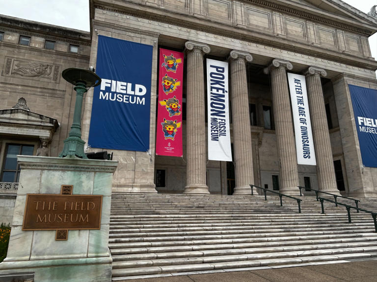 Epic new Pokémon fossil museum exhibit opening inside Field Museum