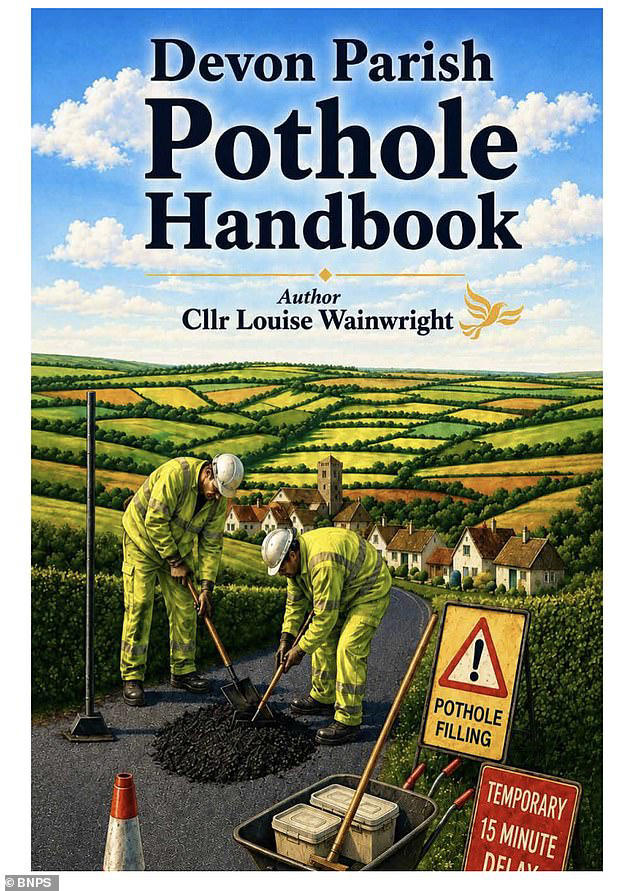 Lib Dem councillor calls for volunteers to fill potholes and admits 'we ...