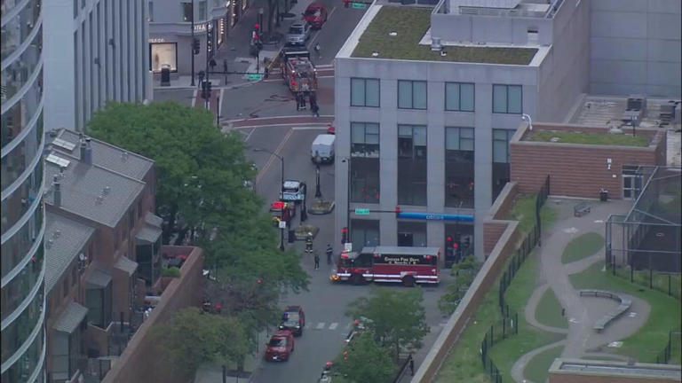 Pet dies in high-rise fire that prompts massive response in Chicago's ...