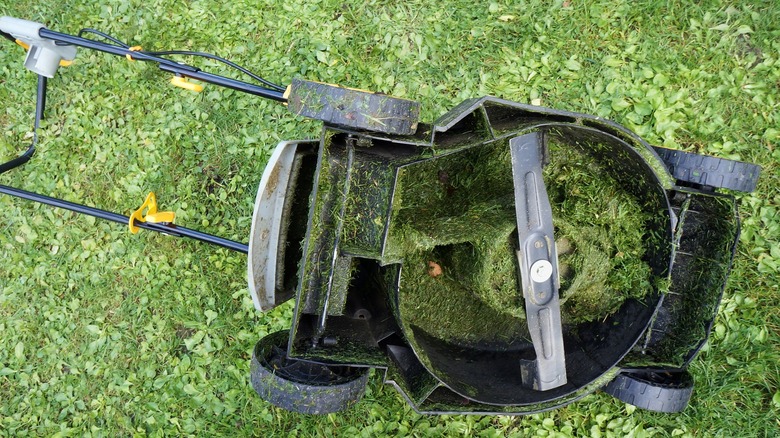 Not WD-40: There's a smarter way to keep grass off lawn mower decks for ...