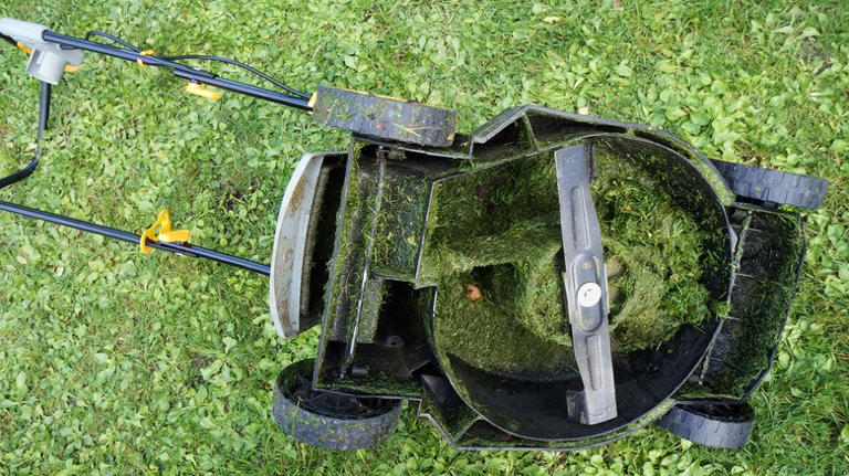 Not WD-40: There's a smarter way to keep grass off lawn mower decks for ...