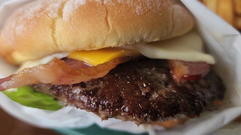 America's best cheeseburger spots in every state