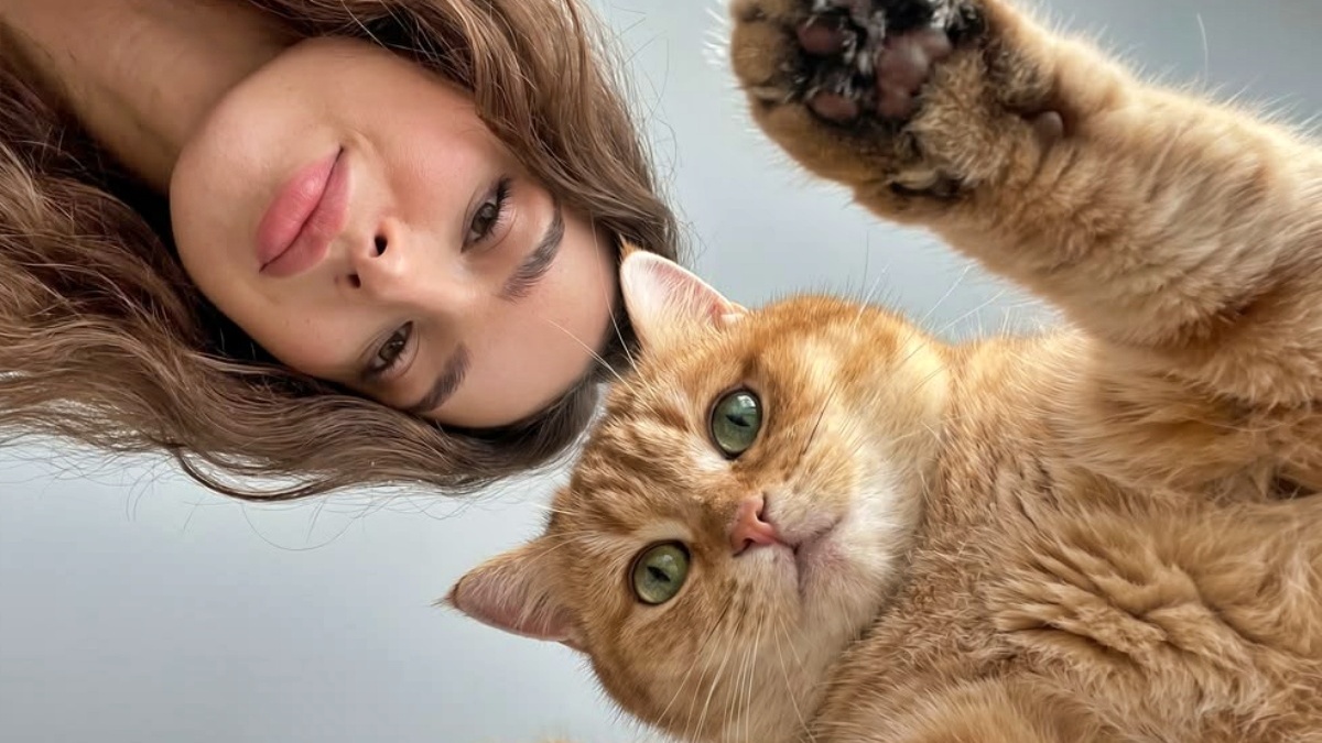 Why your cat gets so close to your face and what it could mean ...
