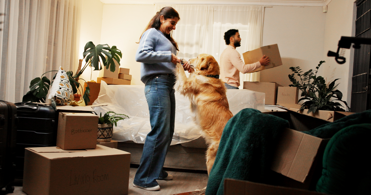 If you buy Chewy stock today, here's where it could be in 5 years