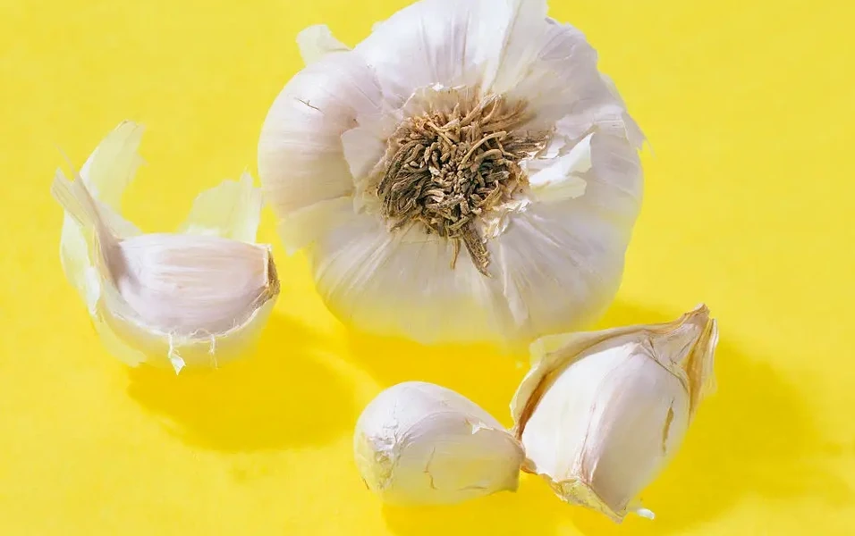 Garlic powder secrets every home cook needs