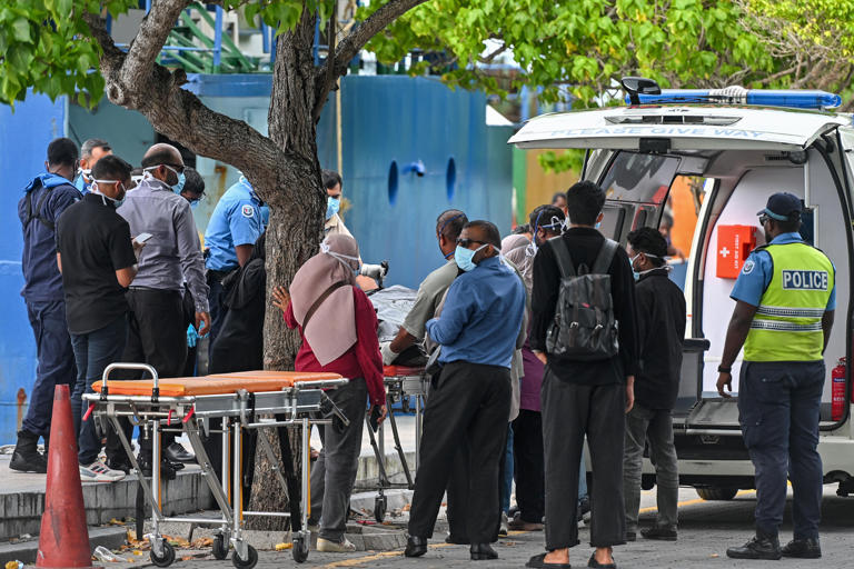Divers killed in Maldives cave may have taken wrong tunnel: "No way out"