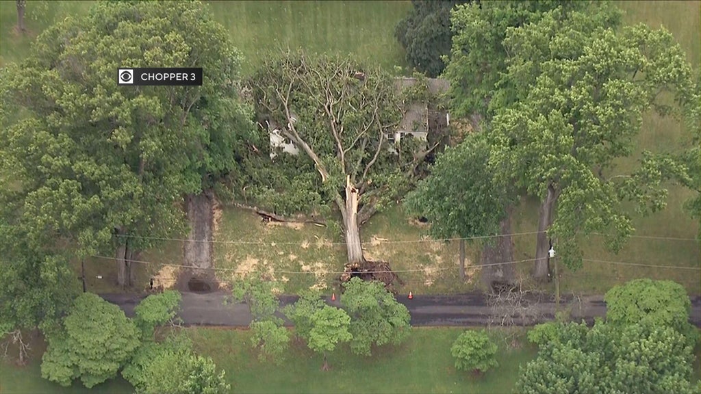 Storms uproot trees, knock out power across the Philadelphia area ...