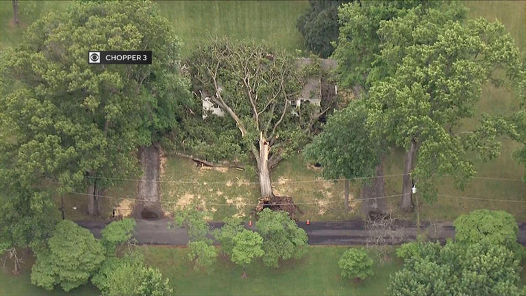 Storms uproot trees, knock out power across the Philadelphia area ...