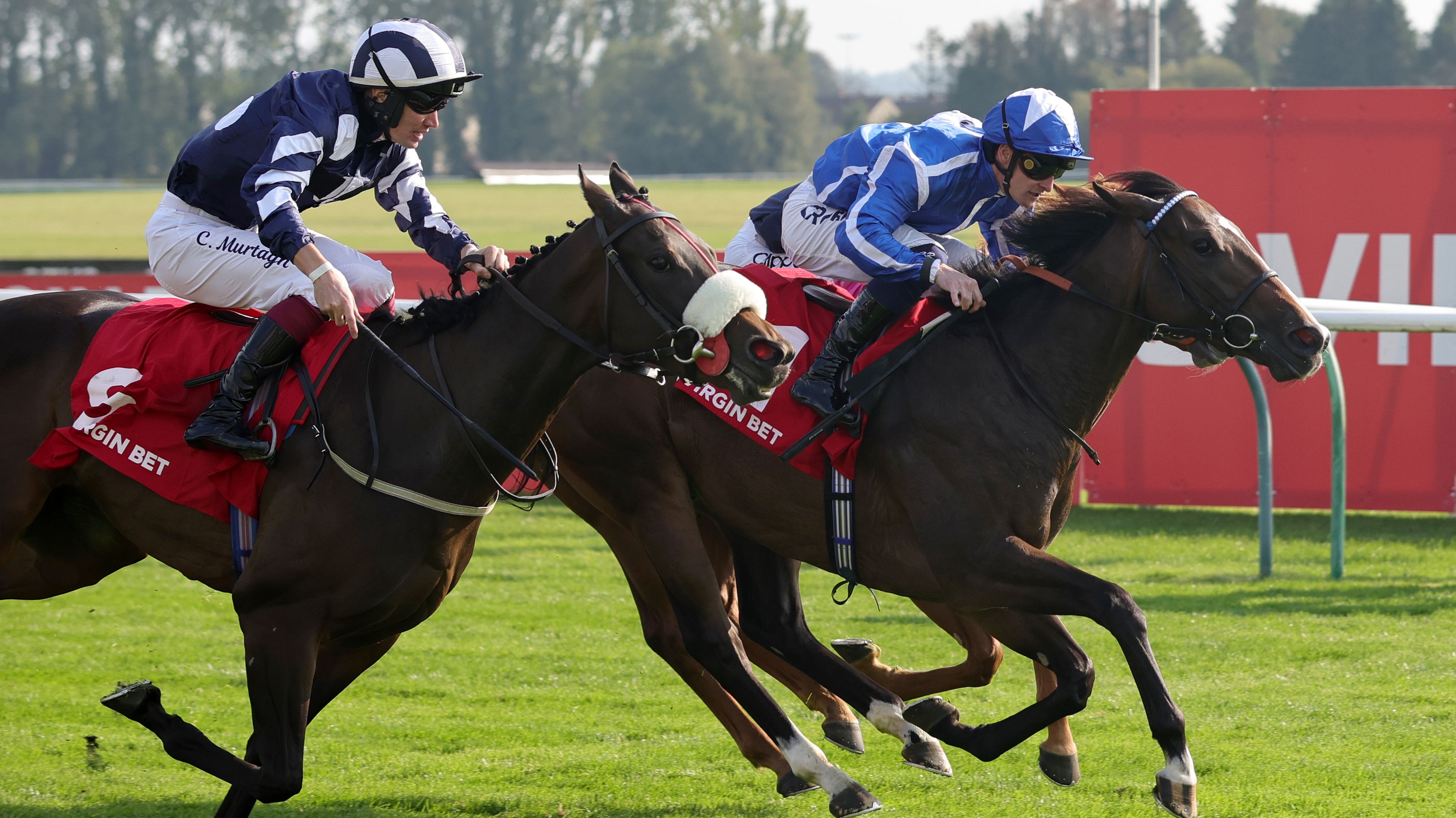 Sky Majesty needs to avoid traffic problems in Haydock feature