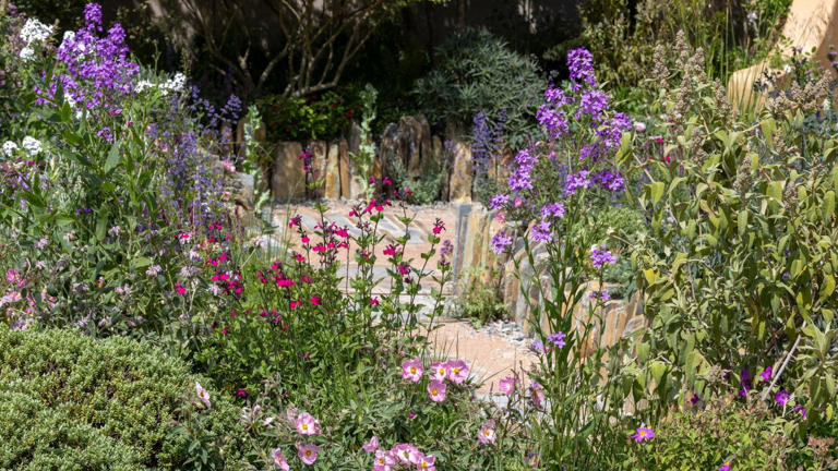 5 planting and design trends from RHS Chelsea 2026 that will work ...