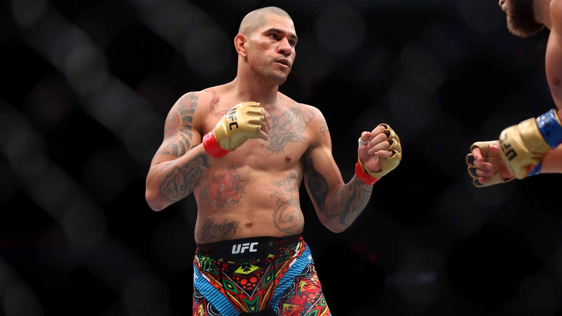 UFC Freedom 250 odds: Pereira vs. Gane showdown insights