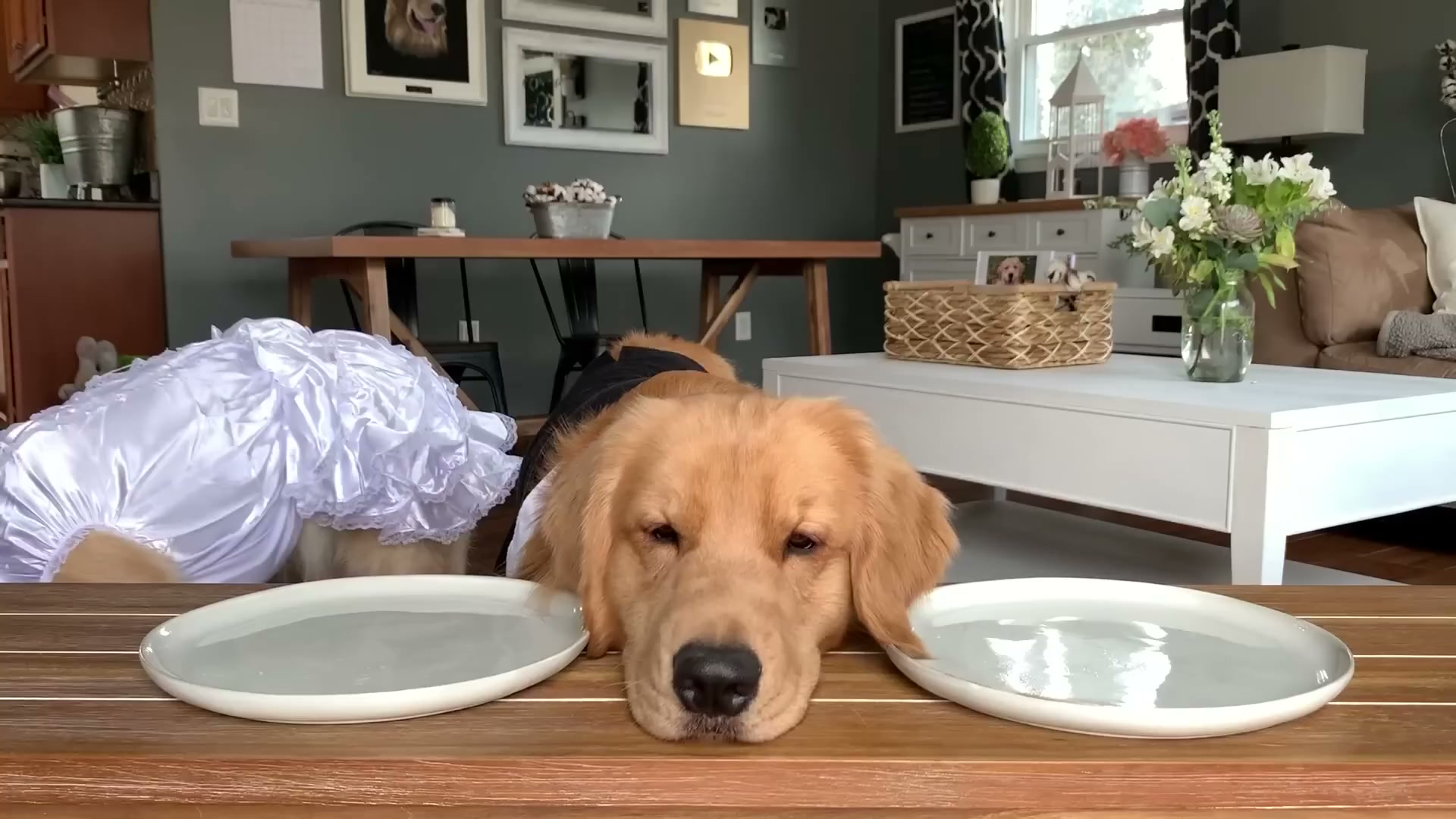 Tucker and his wife try fancy food