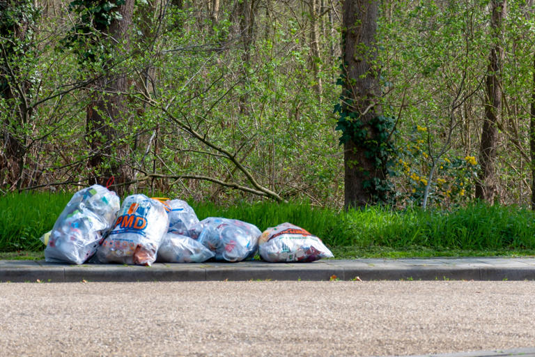 Deze nieuwe regels maken afval scheiden in 2026 een stuk eenvoudiger
