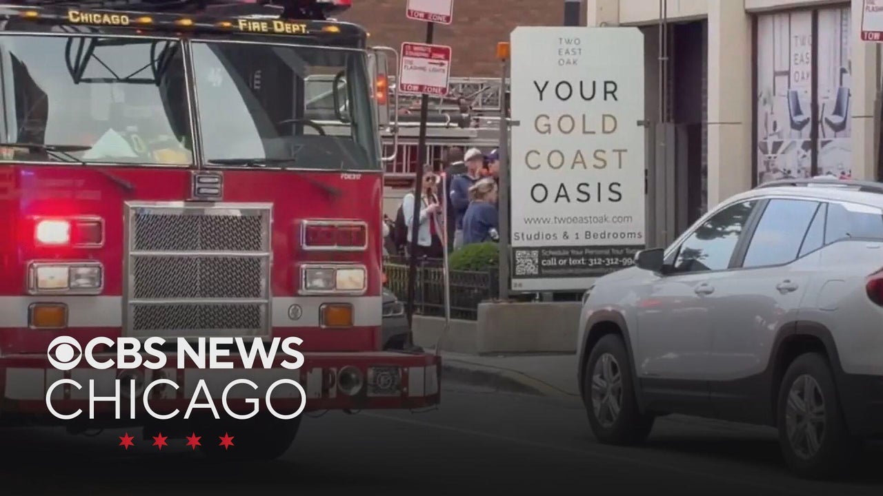 Pet dies in high-rise fire in Chicago's Gold Coast
