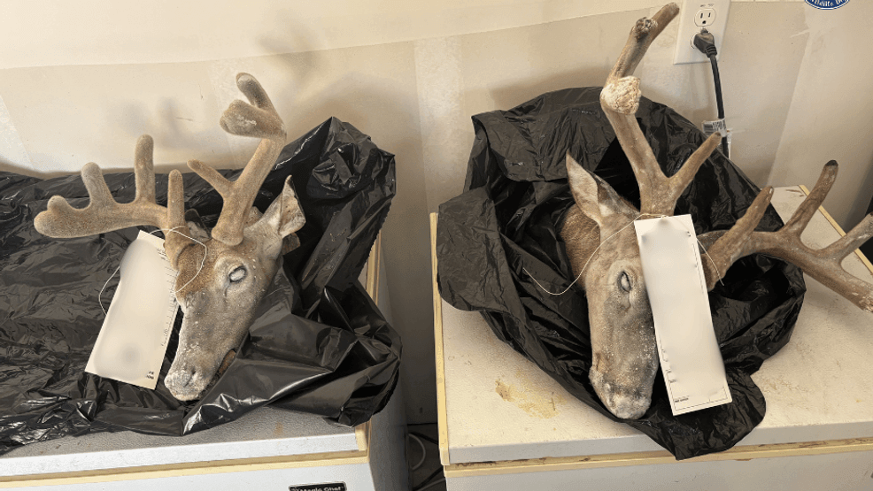 74 charges filed against Texas man accused of beheading 13 poached deer