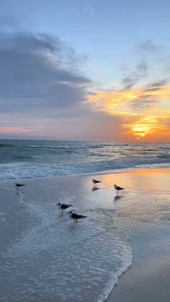 Calm sunset waves and seabirds on a quiet beach